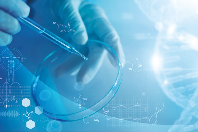 Update wetsvoorstellen (A)Wtza en Wibz | Loyens & Loeff