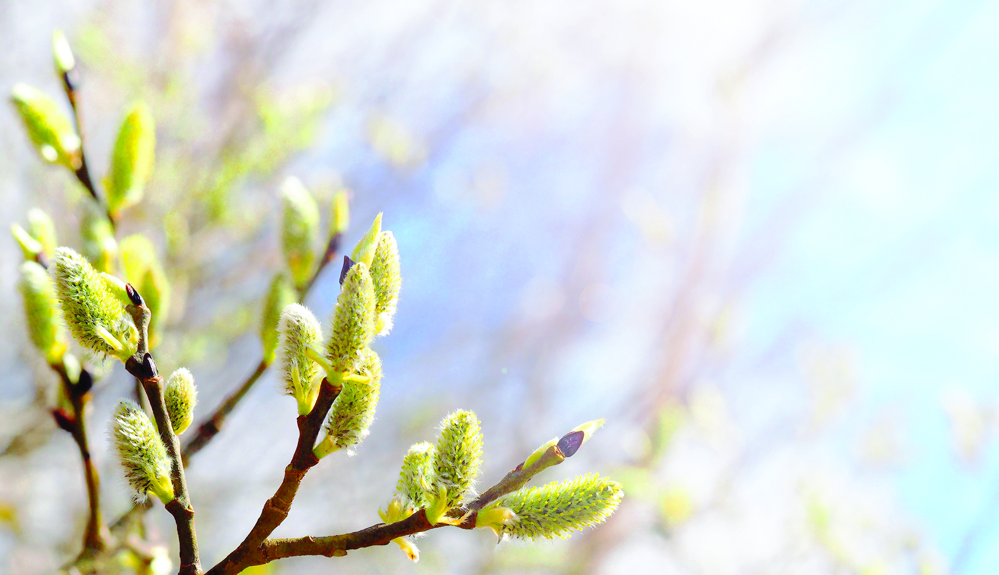 EQT Future closes at EUR 3 billion, investing in sustainability and ...